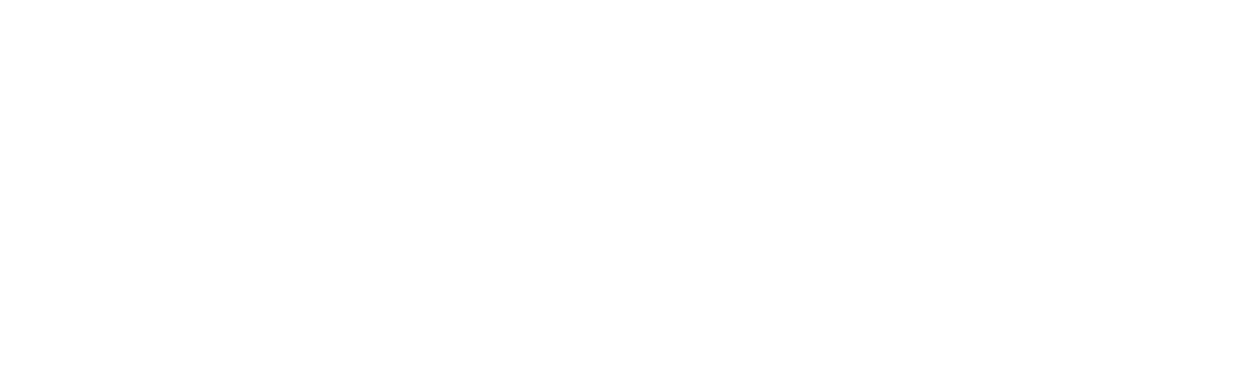 Elastiq